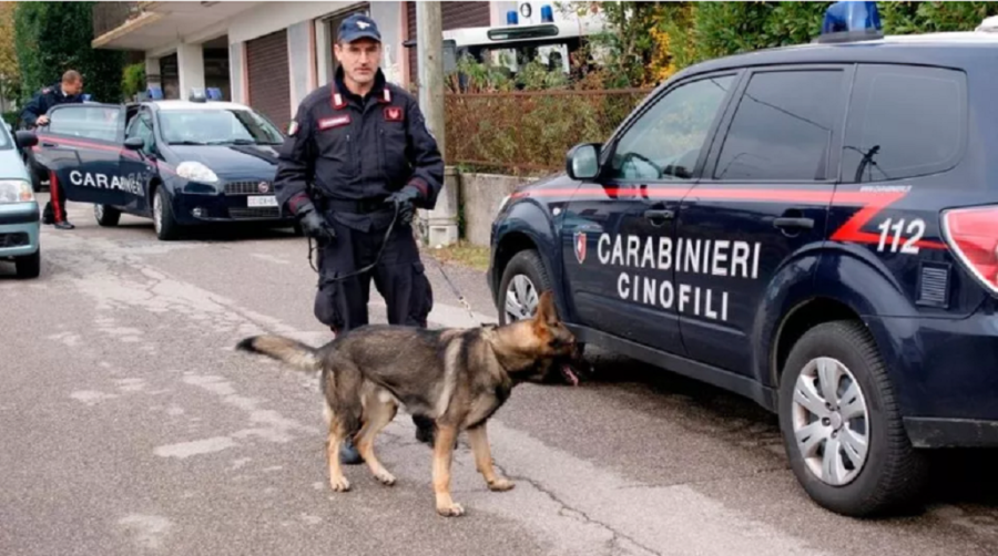 Barista con lo spinello dietro al bancone, fiutato dal cane. Il locale ...