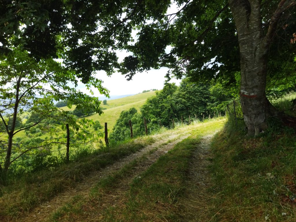 I Colli Alti del Monte Grappa - L'Eco Vicentino
