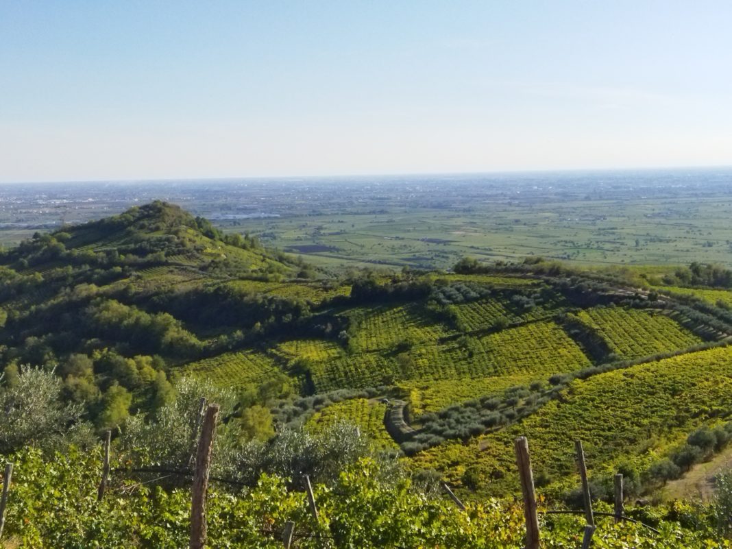 Gambellara: tra i vigneti e la Cava San Marco - L'Eco Vicentino