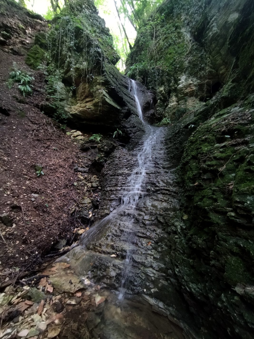 La strada dei Maronari a Valdagno - L'Eco Vicentino