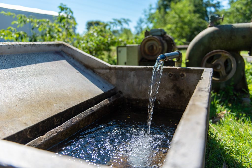 Acqua, risorsa preziosa per tutti: "Non possiamo lavarcene le mani" - L ...