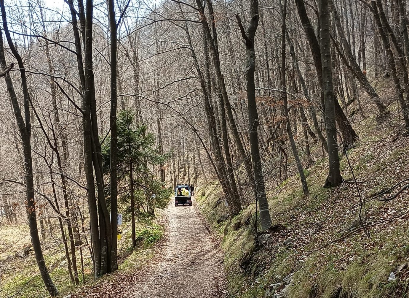 Sentieri di montagna, stanziati 250 mila euro per la sistemazione di ...