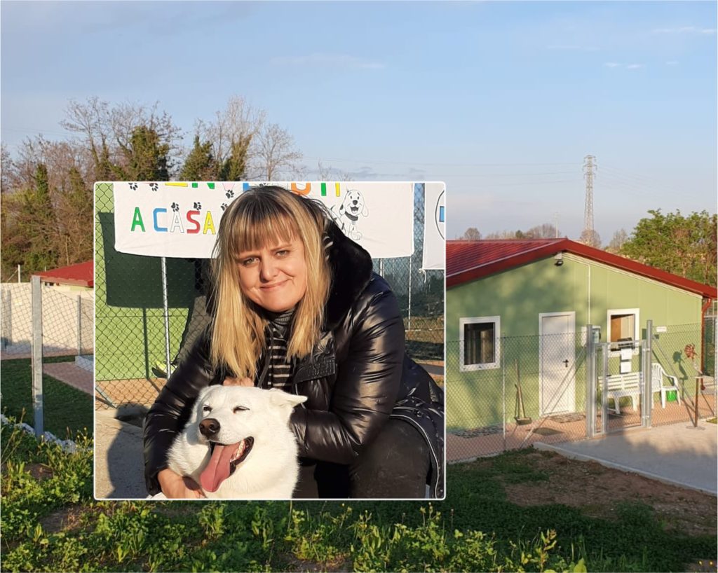 Il maltempo rinvia la festa: pronto il compleanno del parco canile che ...