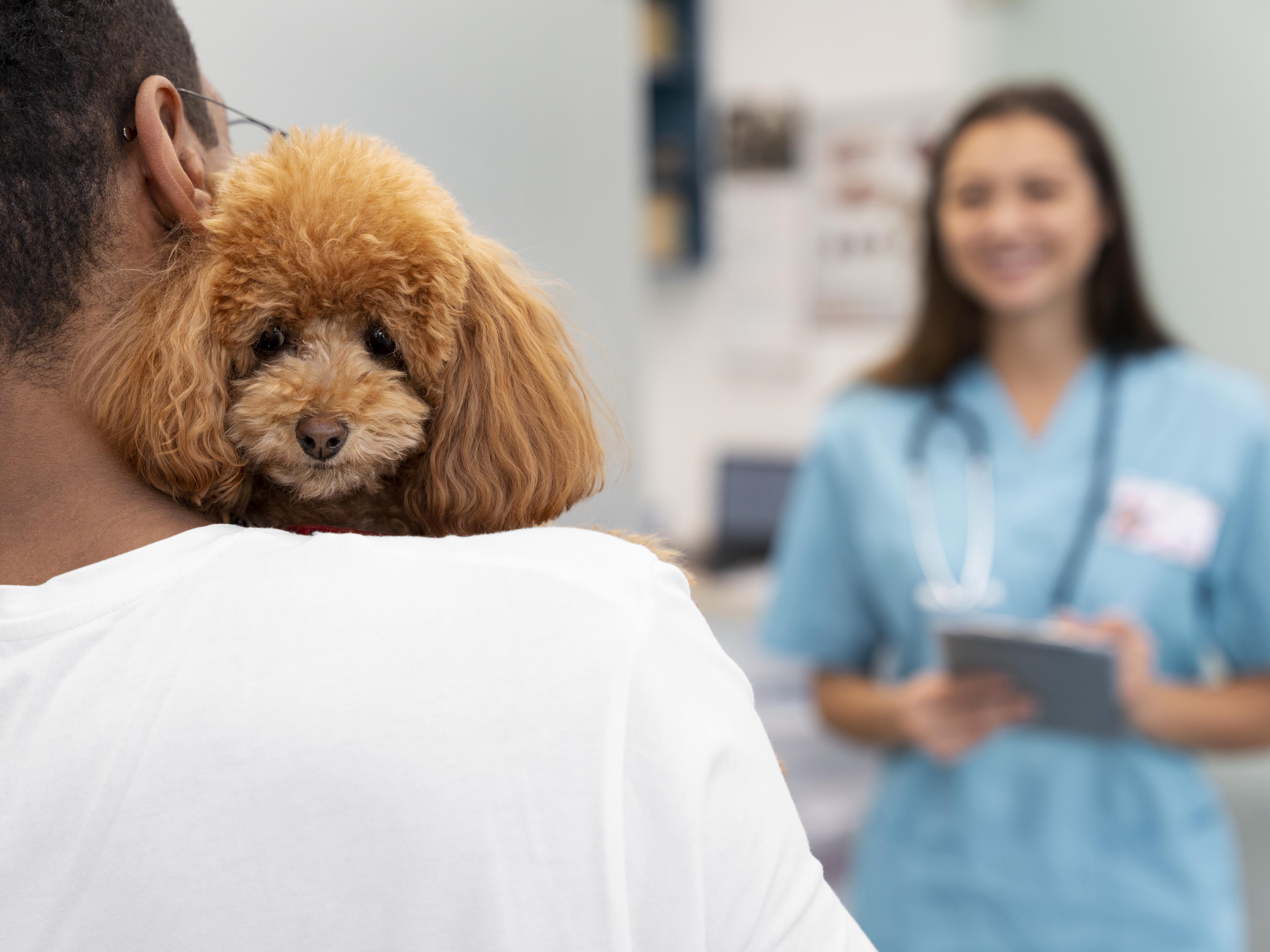 Primo "pet visiting" al San Bortolo: il cane di casa fa visita alla sua ...